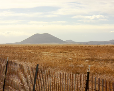 Lagniappe | Theresa Hebert Photography
